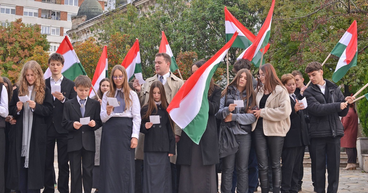 Avanti ragazzi di Buda – flashmob Miskolc belvárosában